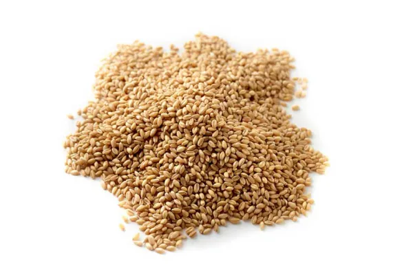 Vetiger Plus – Youme Wellness